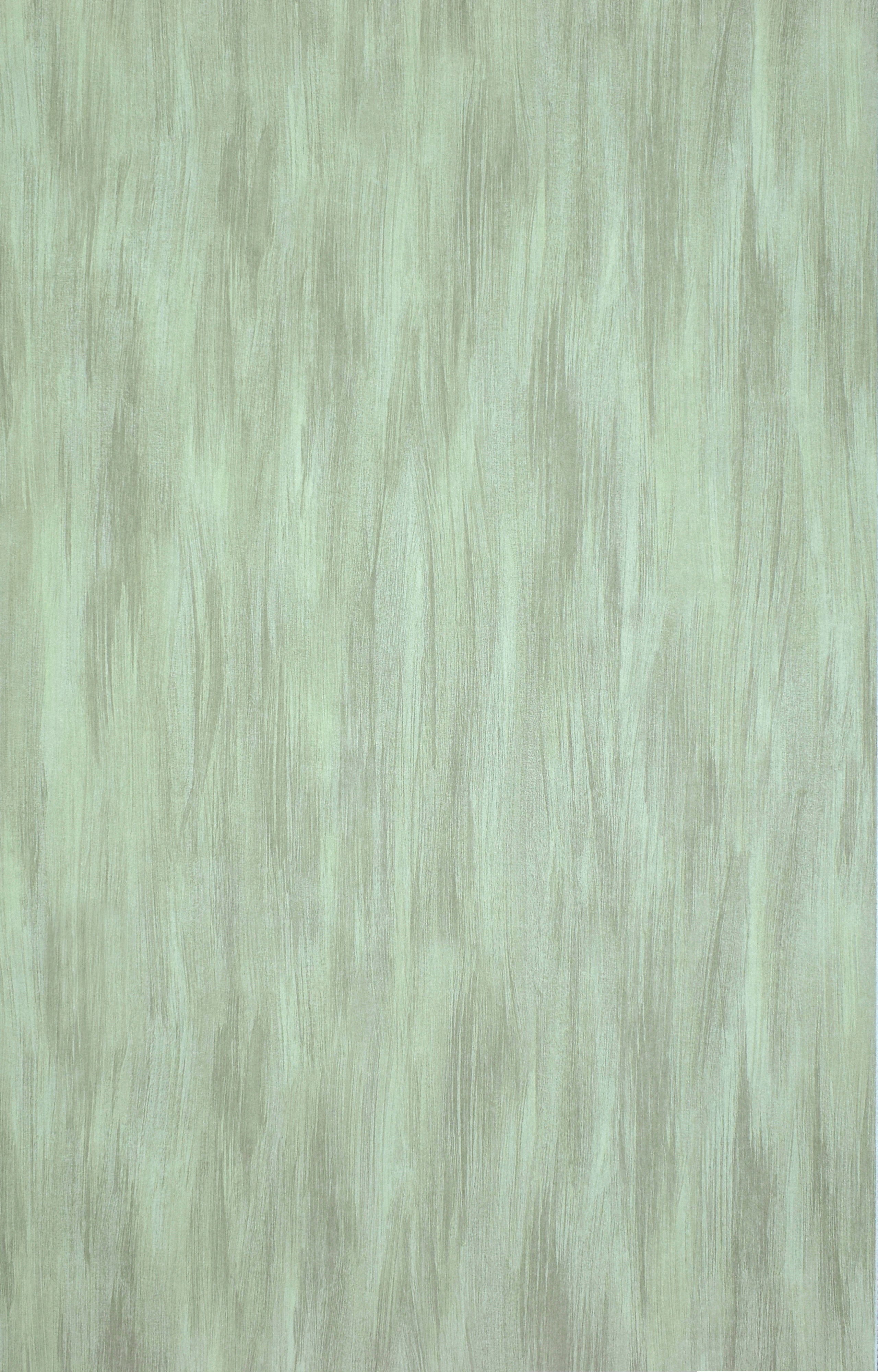 Kent A Soft Forest Wallpaper Sk8968 UAE | SkiptonWall